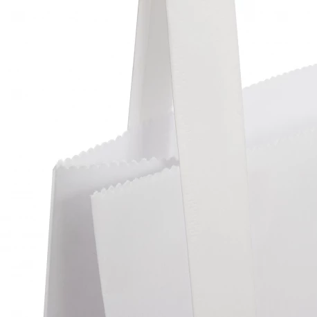 Printed Flat Handle Paper Gift Bags Ref Hilton